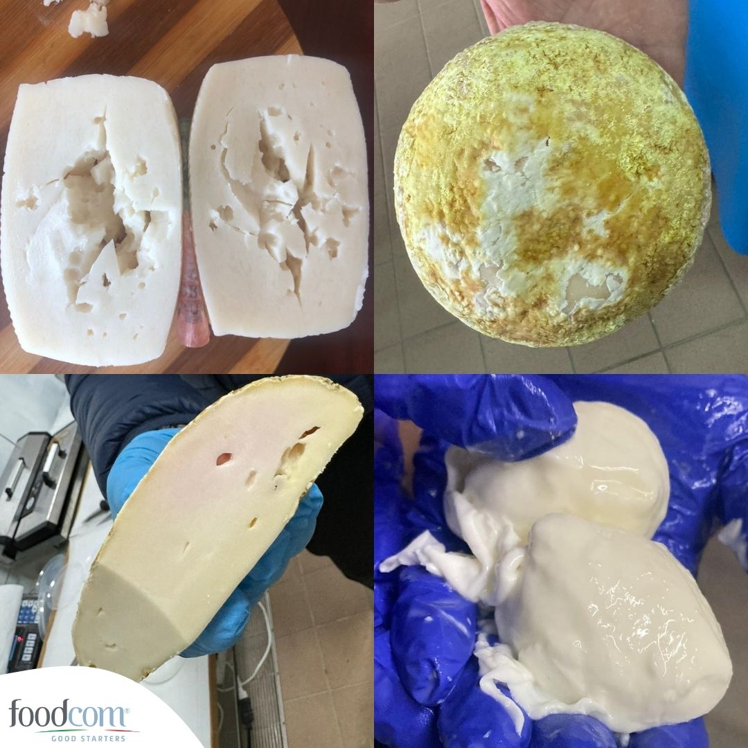 Cheese Defects: Causes, Prevention, and Solutions - Foodcom