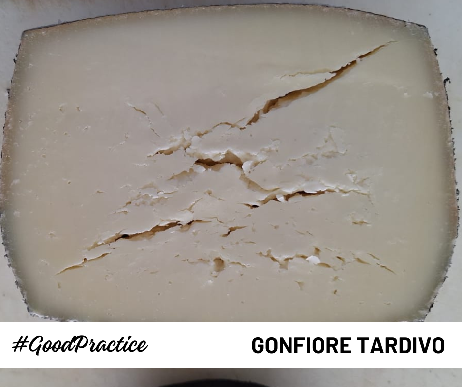 Late Blowing in Hard Cheeses: Causes and Solutions - Foodcom