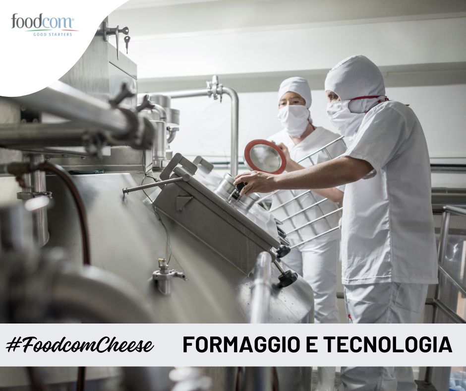 Cheese Defects: Causes, Prevention, and Solutions - Foodcom