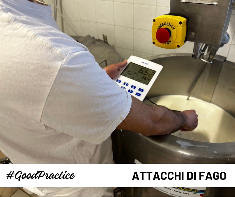 Cheese Defects: Causes, Prevention, and Solutions - Foodcom